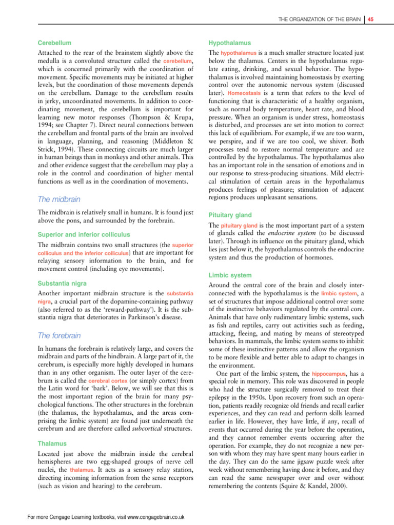 Part 4 | PDF | Cerebrum | Cerebral Cortex