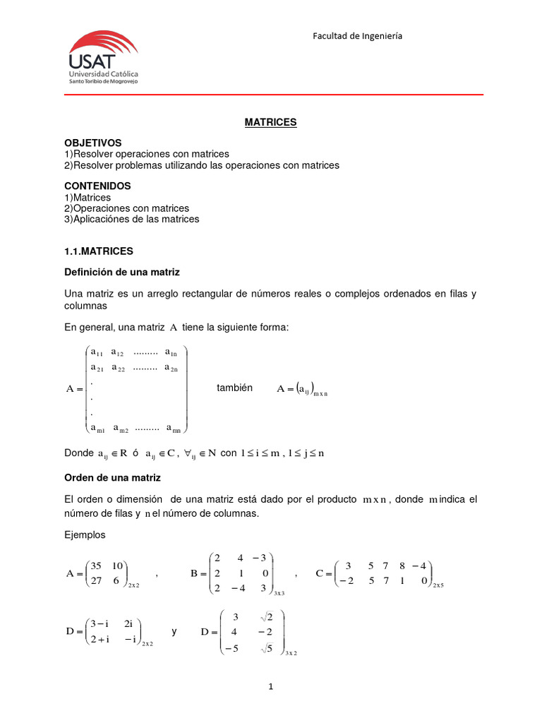 Matrices 2024 - i | Descargar gratis PDF | Matriz (Matemáticas) | Funciones y mapeos