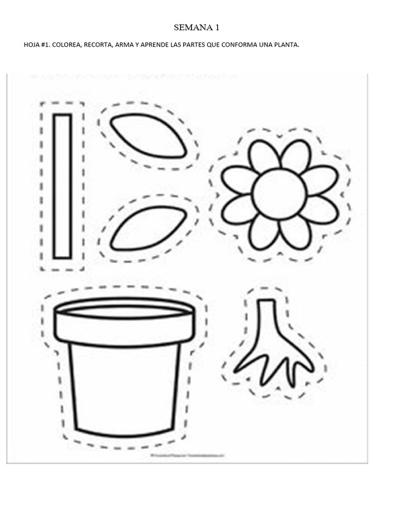 Primavera Cuaderno De Actividades Para Nios Mamnen Cuadernillo De