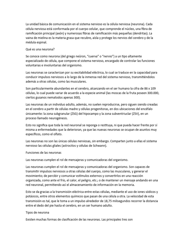 Unidad 2 de Anatomia | PDF | Sinapsis | Neurona