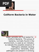 Coliform Detection Using EMB Agar | PDF | Prokaryote | Bacteria