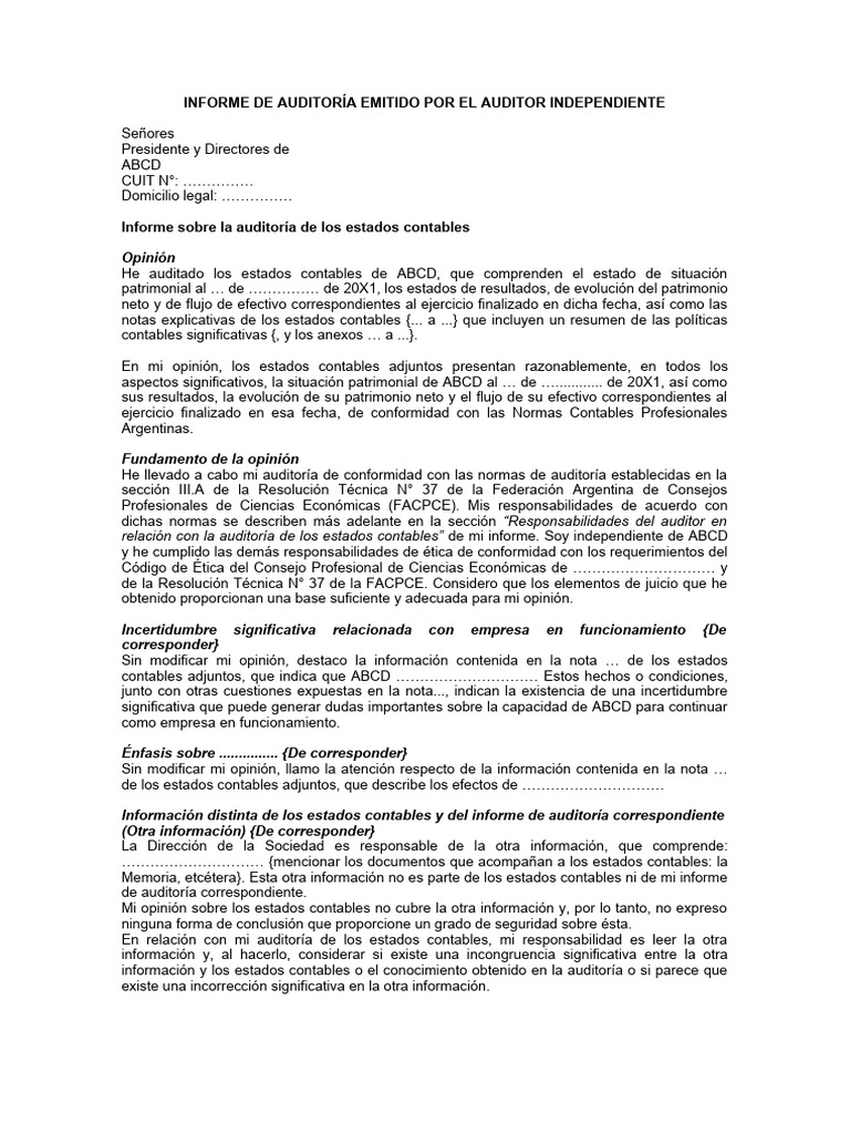 MODELO RT 53 INFORME AUDITOR EECC 2022 EN ADELANTE | PDF | Auditoría | Preocupación continua
