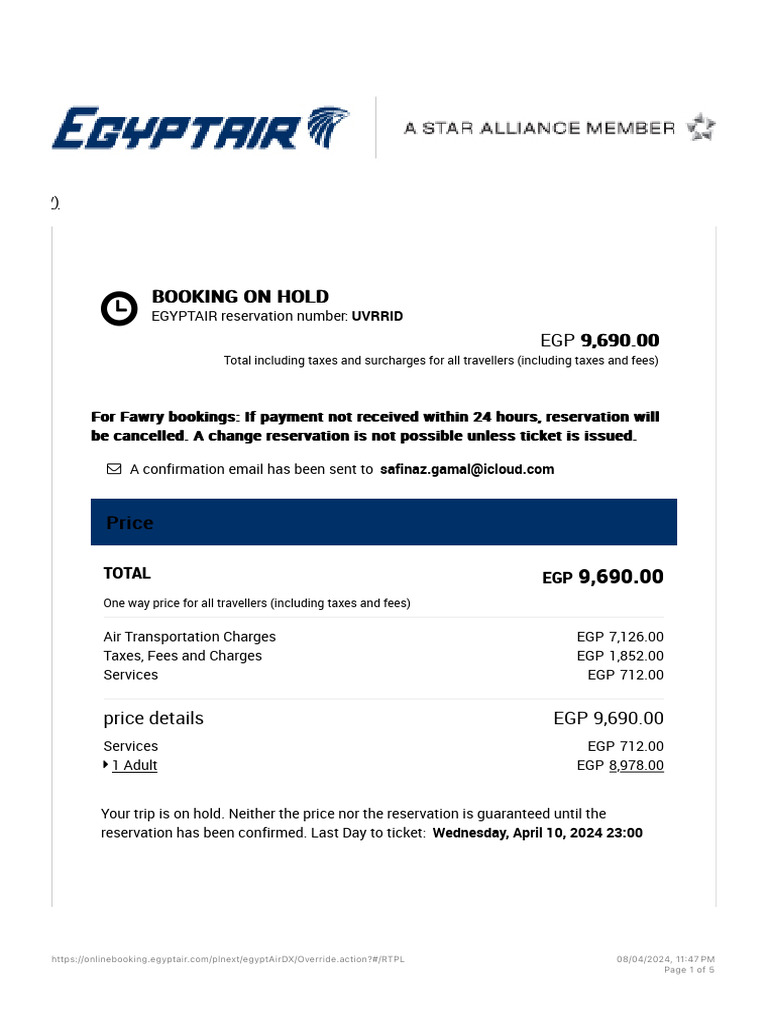 EGYPTAIR - confirmation 2ز | PDF | Baggage