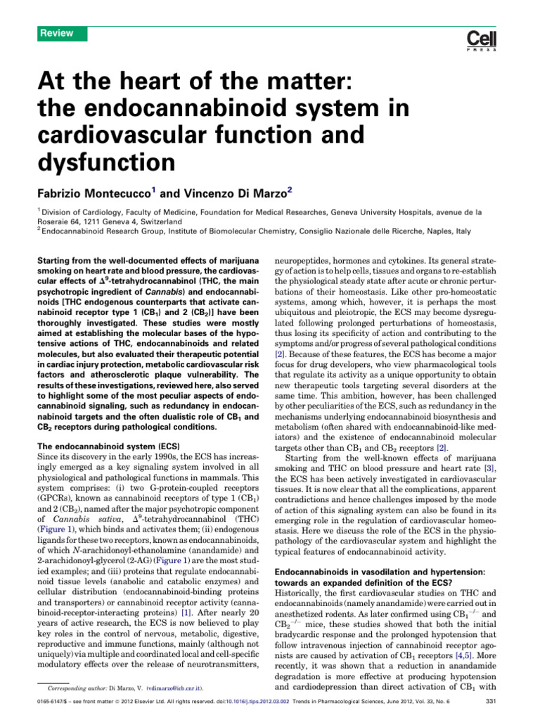 Suiza, Italia. at The Heart of The Matter - The Endocannabinoid System ...