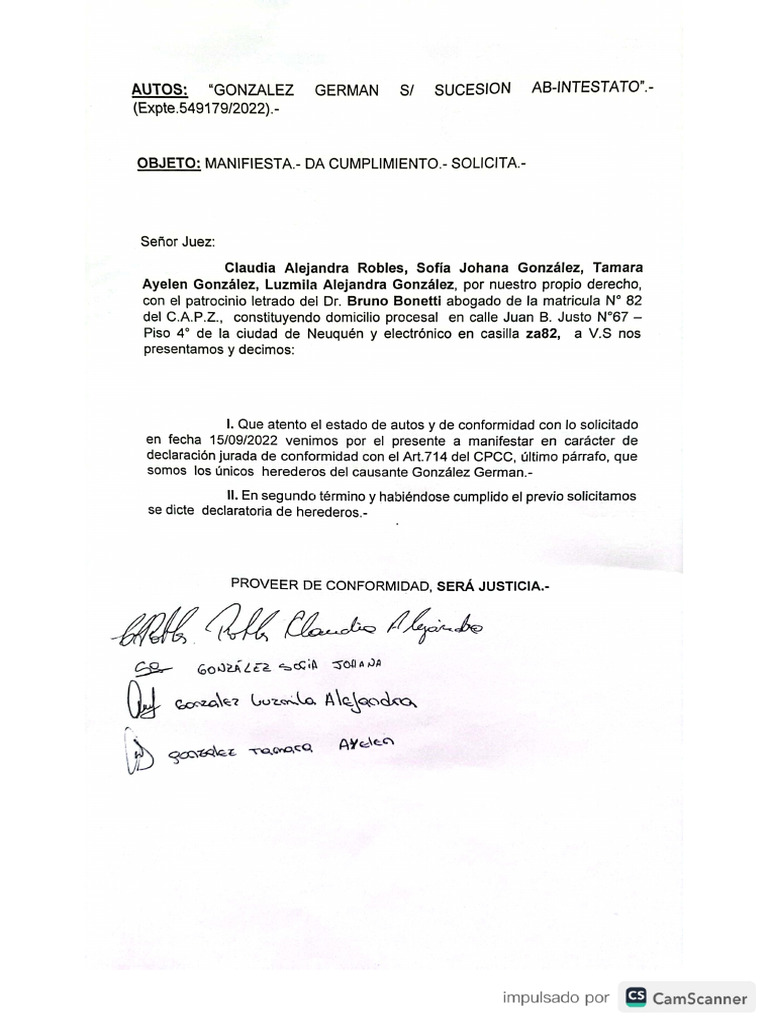 Gonzalez Decl Jur | PDF