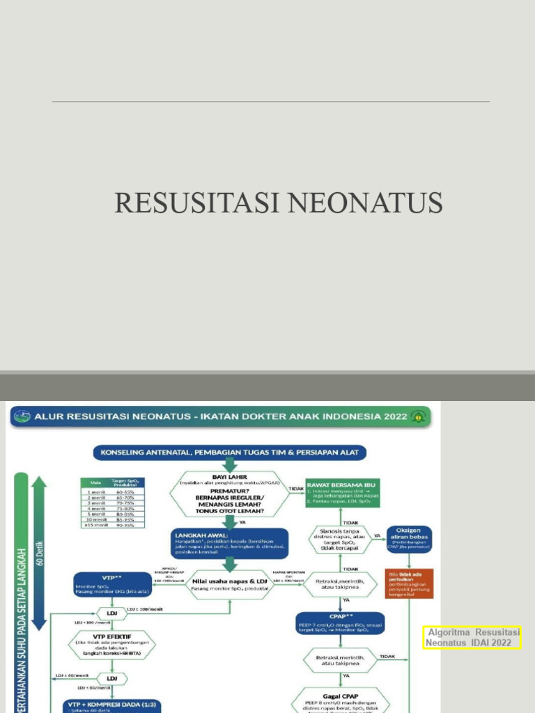 Algoritma Resusitasi Neonatus IDAI 2023 | PDF | Kesehatan Holistik