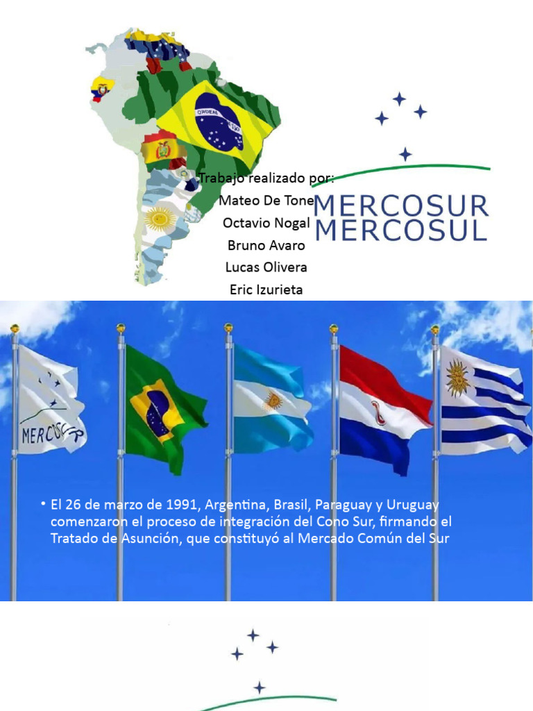 Historia y Objetivos del Mercosur | PDF | Viajes y turismo