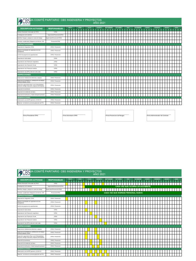 Plan de Trabajo Cphs Cbs | PDF