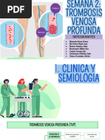 Signo de Homans y TVP: Diagnóstico Clínico | PDF | Angiología | Rtt