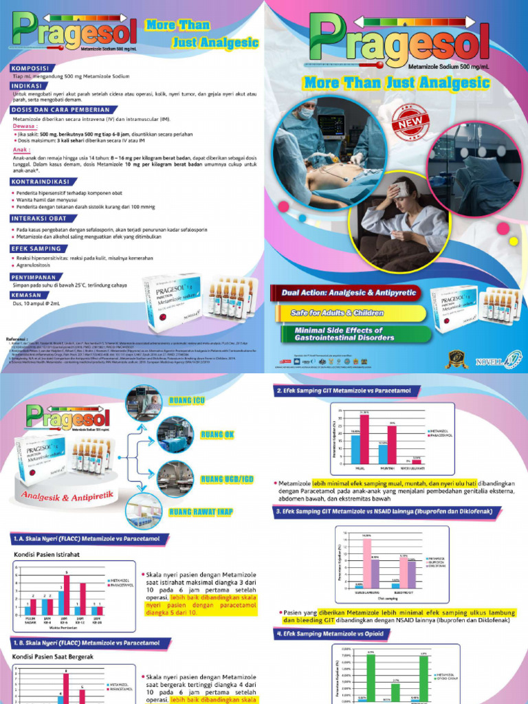 Brosur Pragesol | PDF