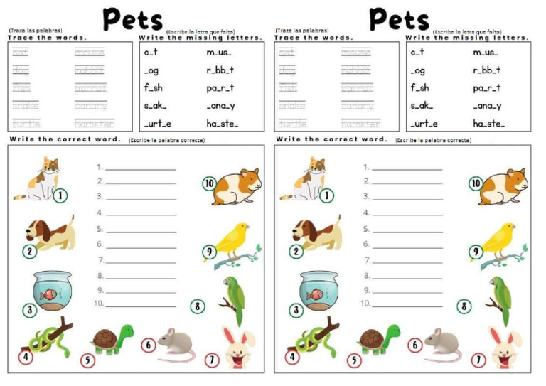 My Pets 1ro | PDF