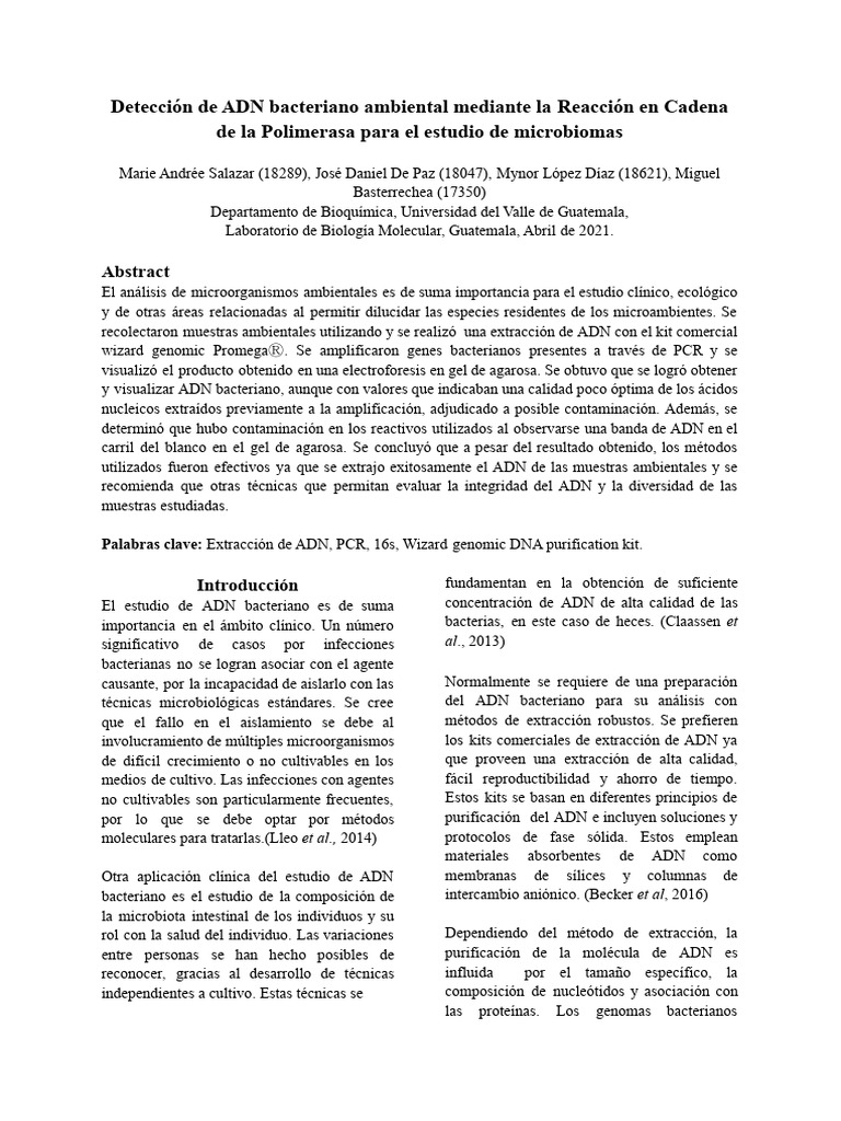 Reporte Extracción ADN Bacteriano | PDF | Reacción en cadena de la ...