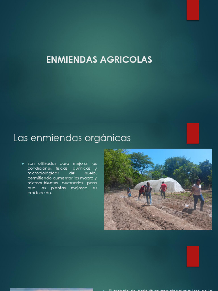Beneficios de Enmiendas Orgánicas en Suelos | PDF | Suelo | Fertilizante