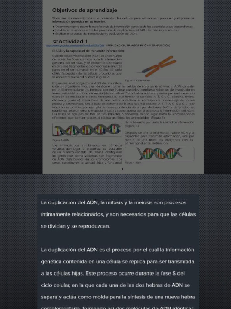 Presentación ADN .? | PDF