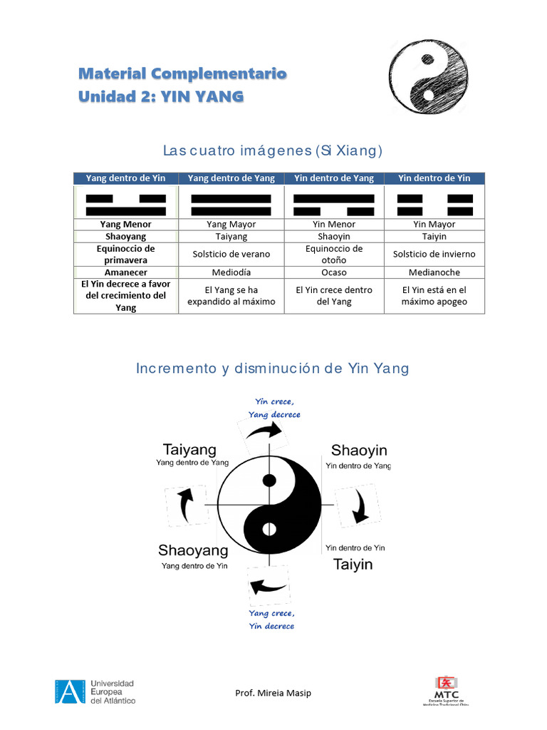 UD 2 Yin Yang | PDF | Yin y yang
