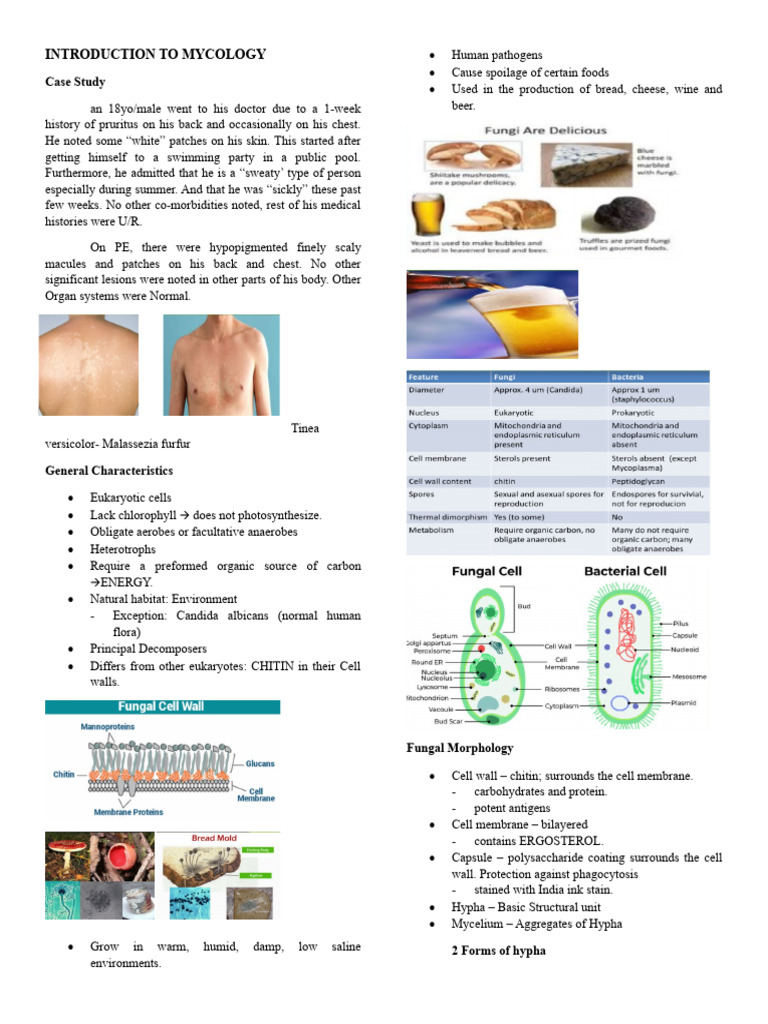 Introduction To Mycology | PDF | Sexual Reproduction | Fungus