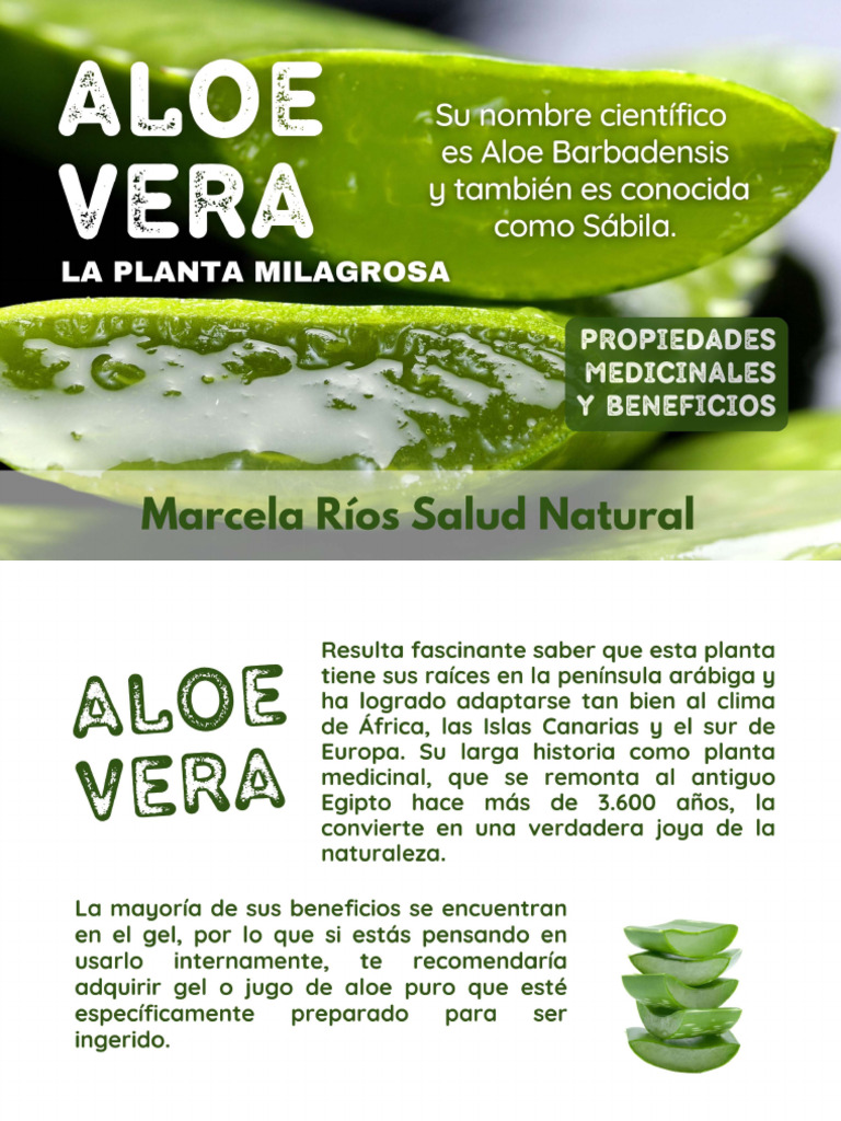 Aloe Vera | PDF