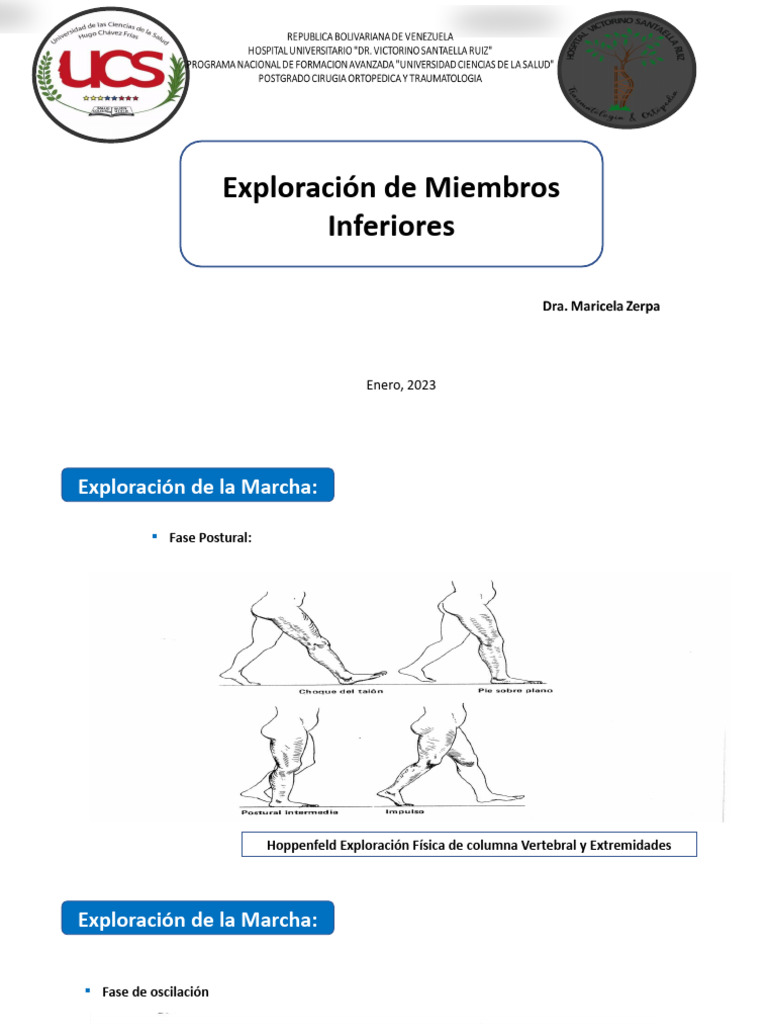 Exploracion | PDF | Pie | Sistema musculoesquelético