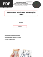 Anatomía de la Muñeca y Mano | PDF | Mano | Sistema musculoesquelético