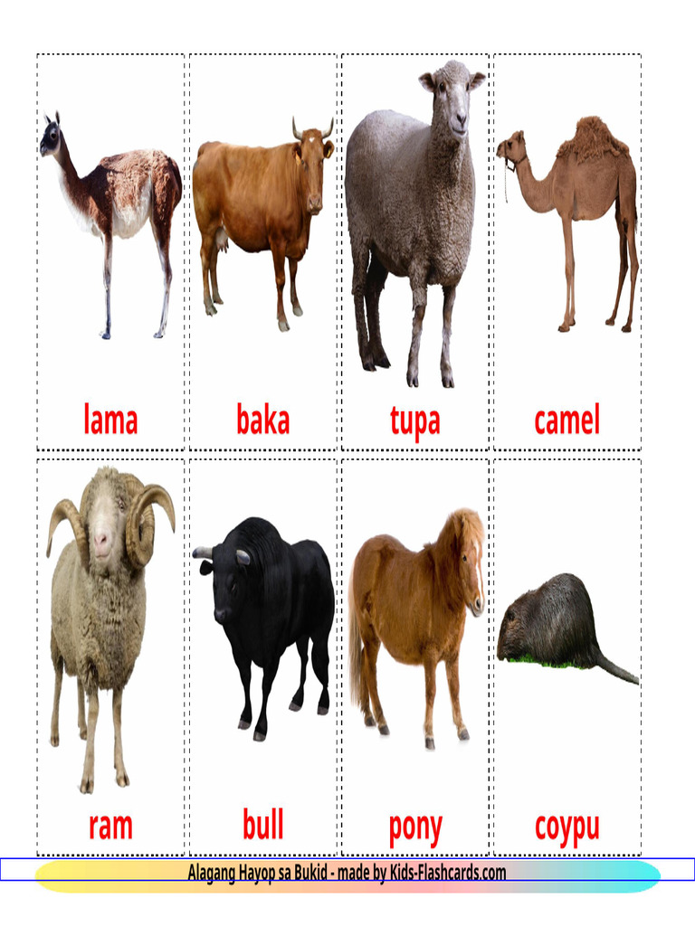 Alagang Hayop Sa Bukid 8 A4 | PDF
