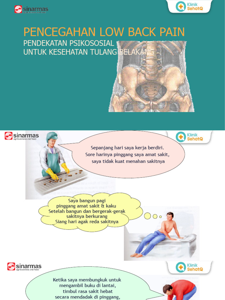 Pencegahan Low Back Pain | PDF