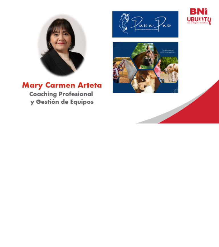 Presentación Mary Arteta | PDF