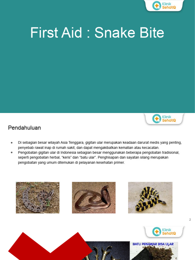 First Aid Snake Bite | PDF