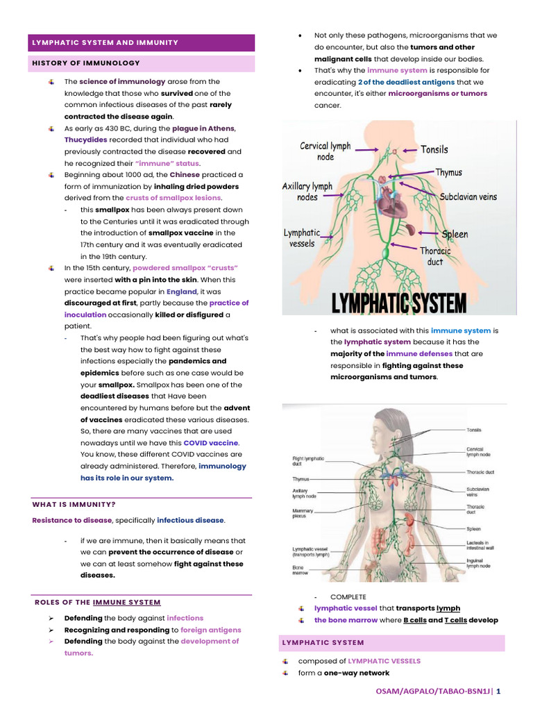 Lymphatic System and Immunity Overview | PDF | Lymphatic System | Lymph