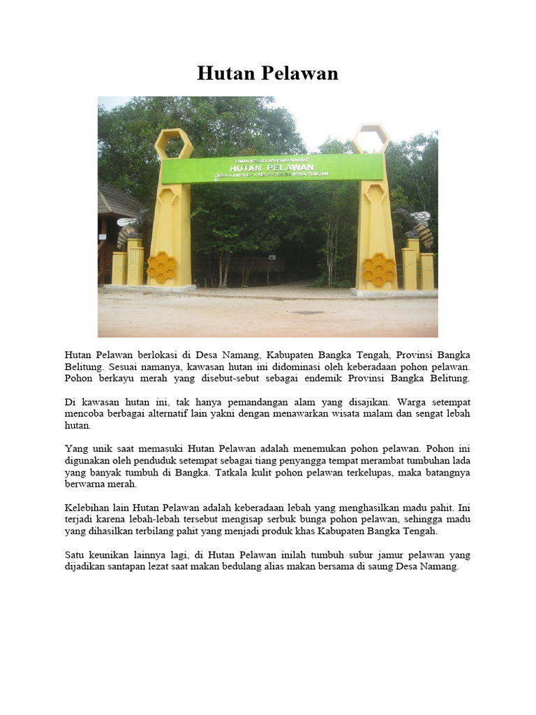 Keunikan Hutan Pelawan Bangka | PDF | Griya & Taman