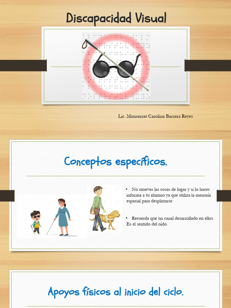 Discapacidad Visual 063739 | PDF | Percepción | Discapacidad visual