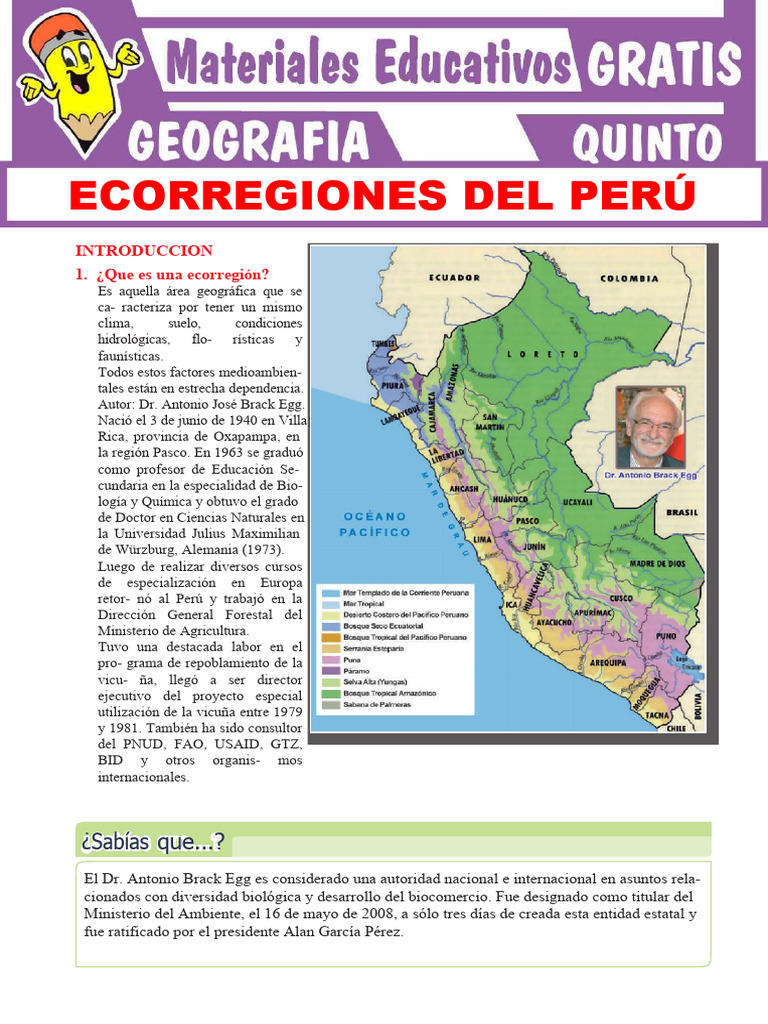 Ecorregiones Del Perú para Quinto Grado de Secundaria | PDF | Selva ...