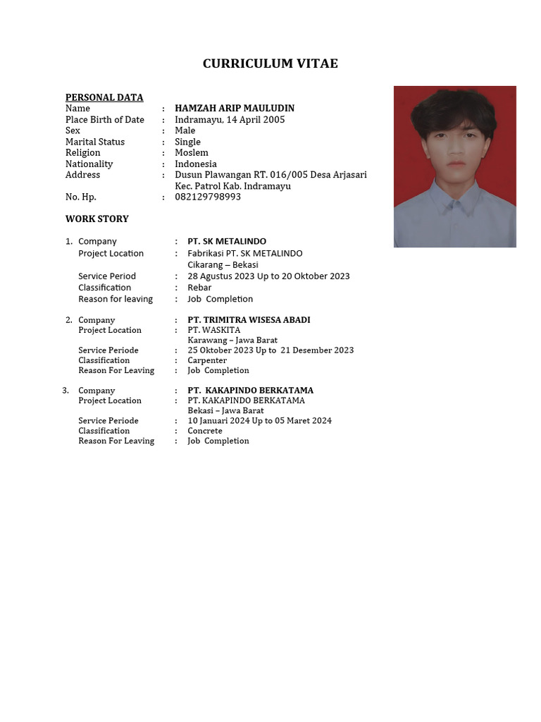 CV Hamzah Arip | PDF