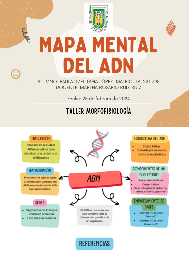 Mapa Mental Adn | PDF