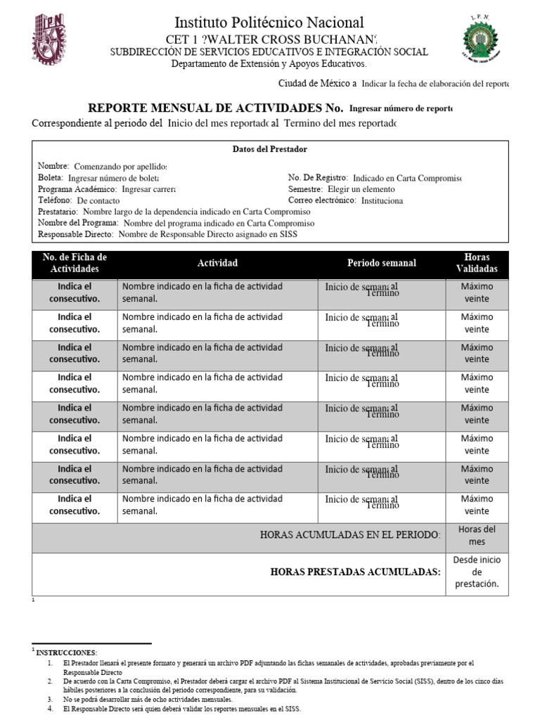 Reporte Mensual de Actividades SISS | PDF