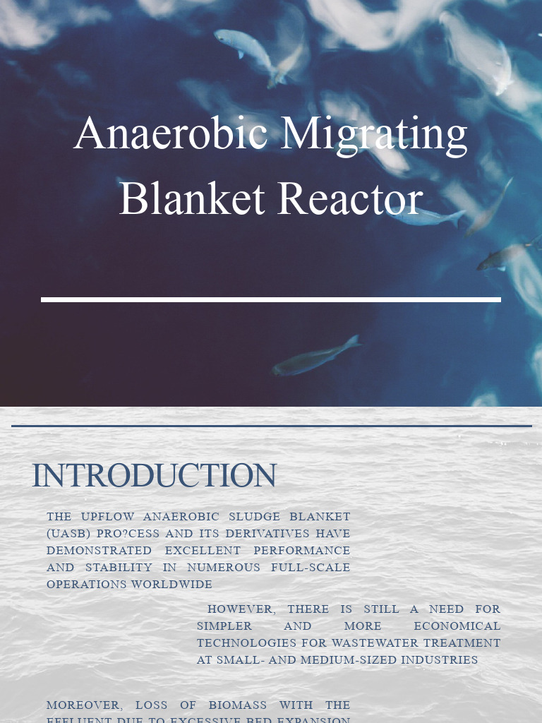 AMBR | PDF | Anaerobic Digestion | Environmental Technology