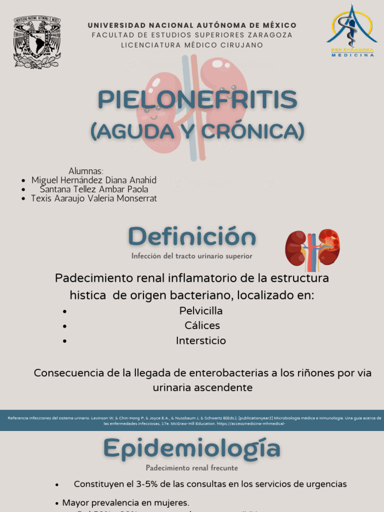 Pielonefritis Aguda y Crónica | PDF | Especialidades Medicas | Medicina ...