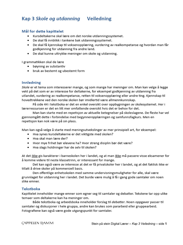 Kap 3 Veiledning Word | PDF