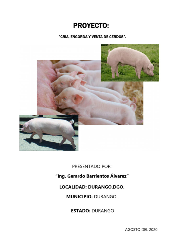 ++ Proyecto Cria y Engorda de Cerdos Ing Gerardo Barrientos Alvarez ...