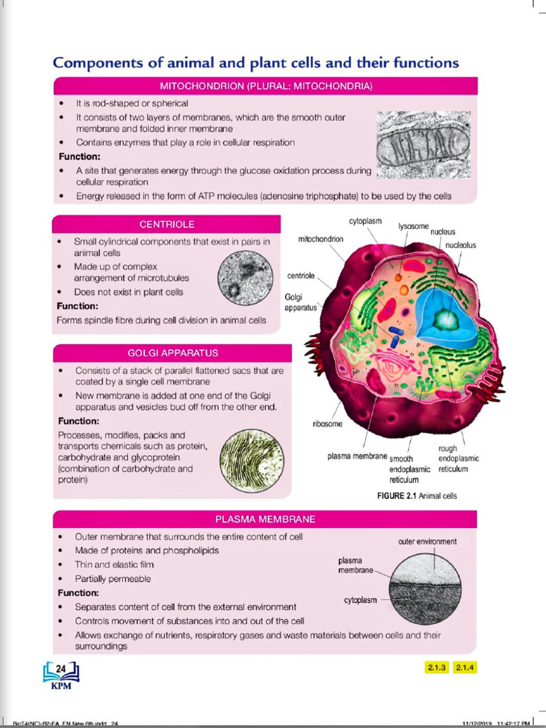 Bio Chapter 2 F4 | PDF