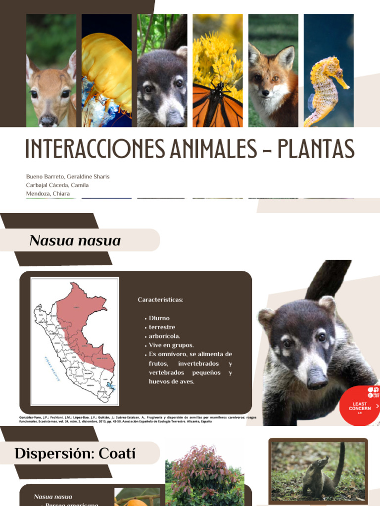 Interaccion animal-planta | Descargar gratis PDF | Organismos ...