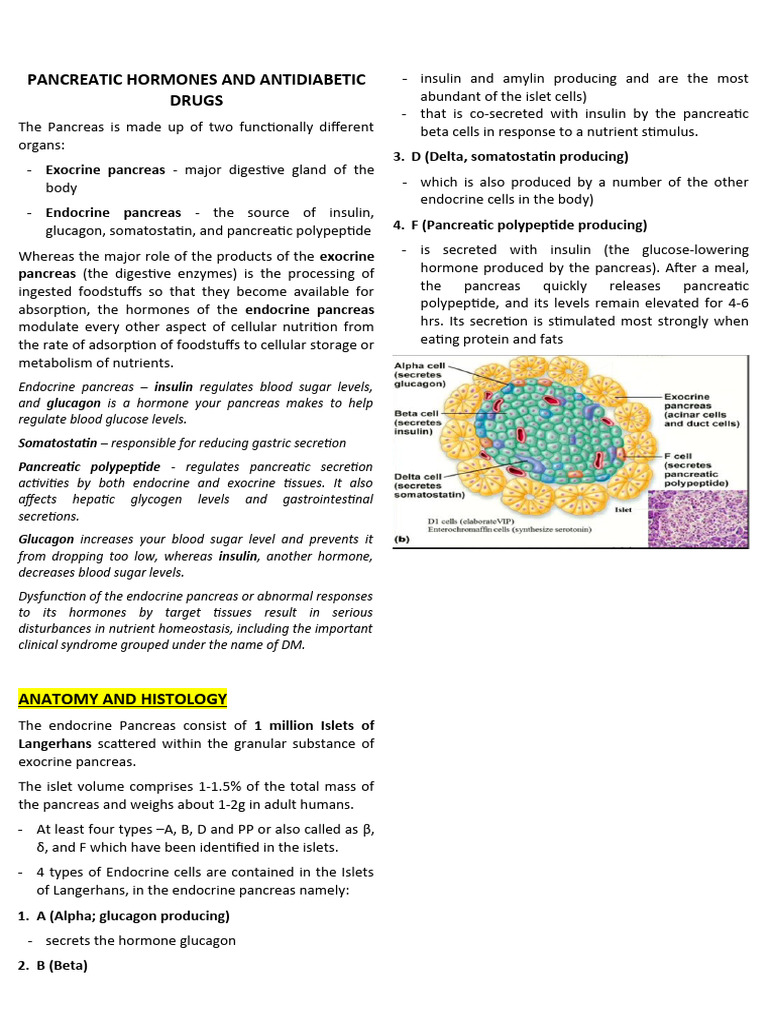 Pancreatic Hormone Reviewer | PDF | Pancreas | Endocrine System