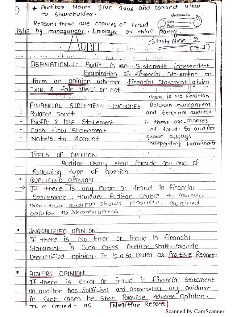 Audit Handwritten Notes | PDF