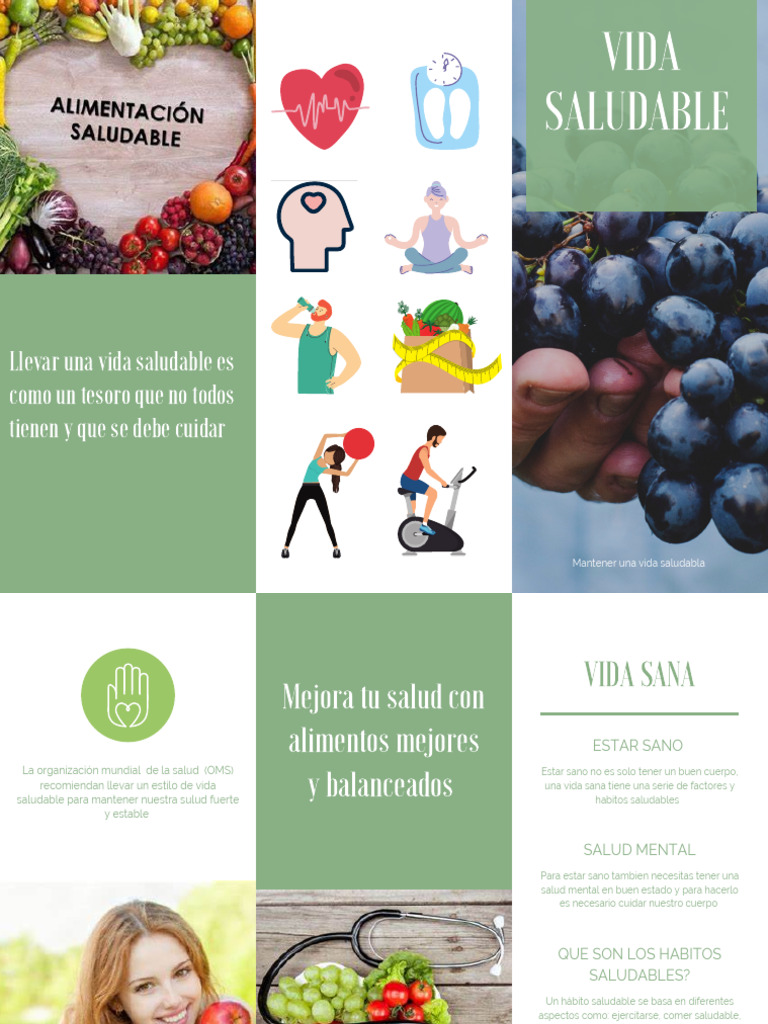 Vida Saludable | PDF