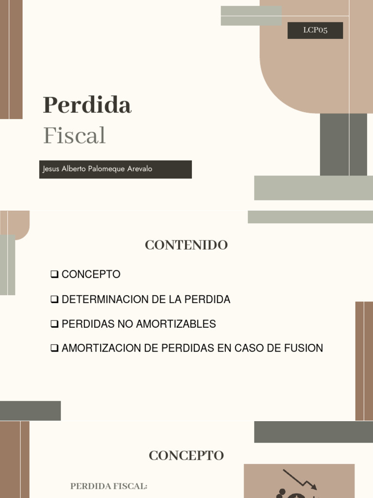 Pérdida Fiscal | Descargar gratis PDF | Economias