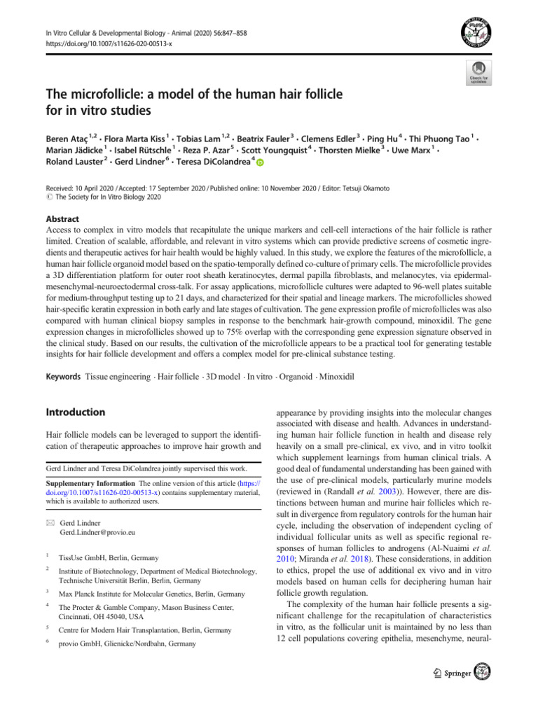 The Microfollicle - A Model of The Human Hair Follicle | PDF ...