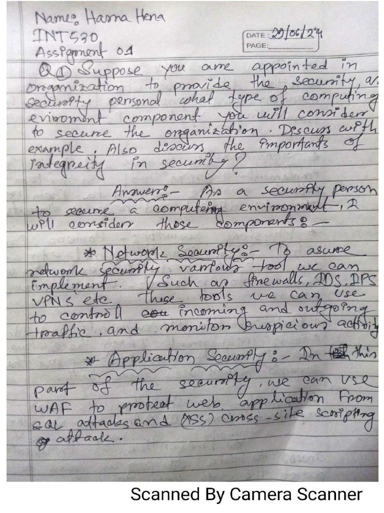 Ca 1 Hena INT530 | PDF