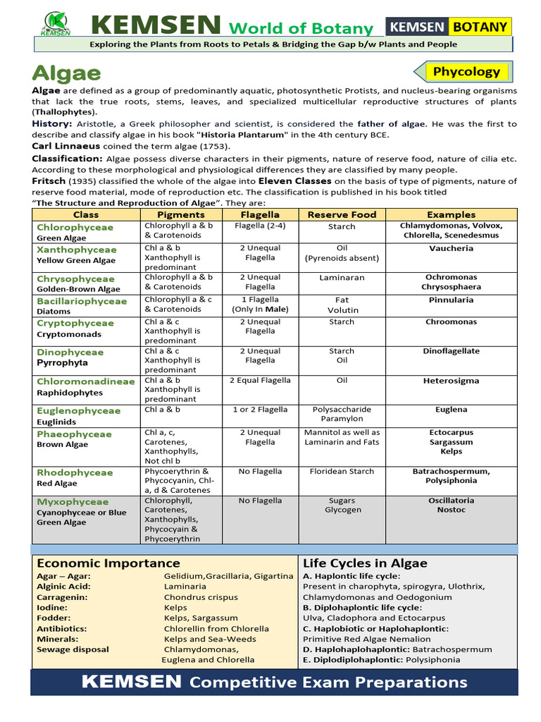 KEMSEN Algae Classification and Importance | PDF | Algae | Botany