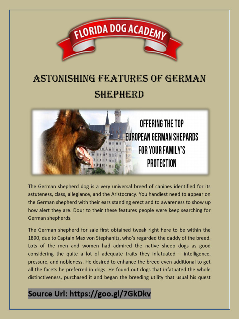 Astonishing Features of German Shepherd | PDF