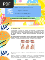 6-4 Grupo 1 Clasificación de Dewey y Anderson | PDF | Anatomia dental ...