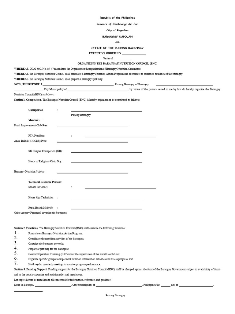 Structure Organized BNC | PDF | Governance | Government